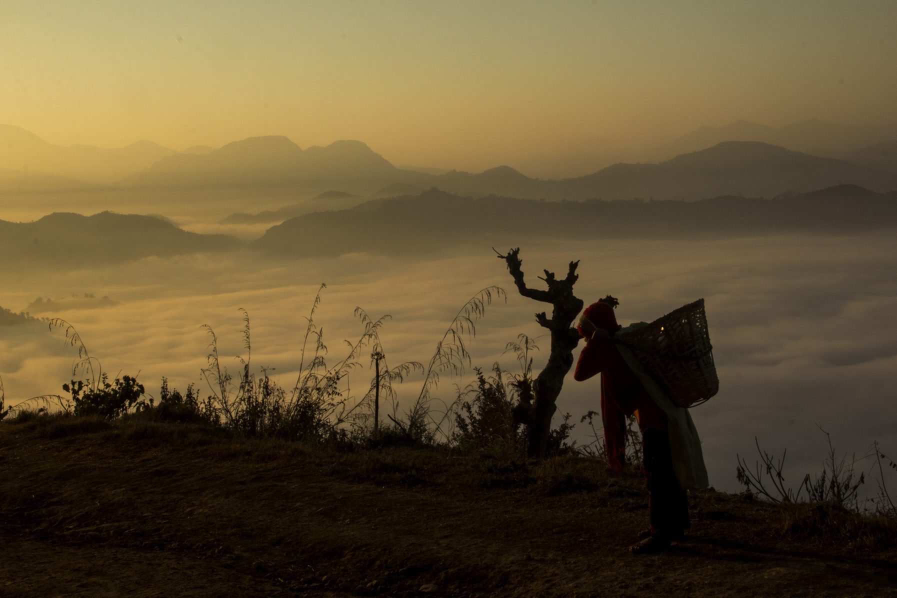 Social Enterprise | Maya Universe Academy